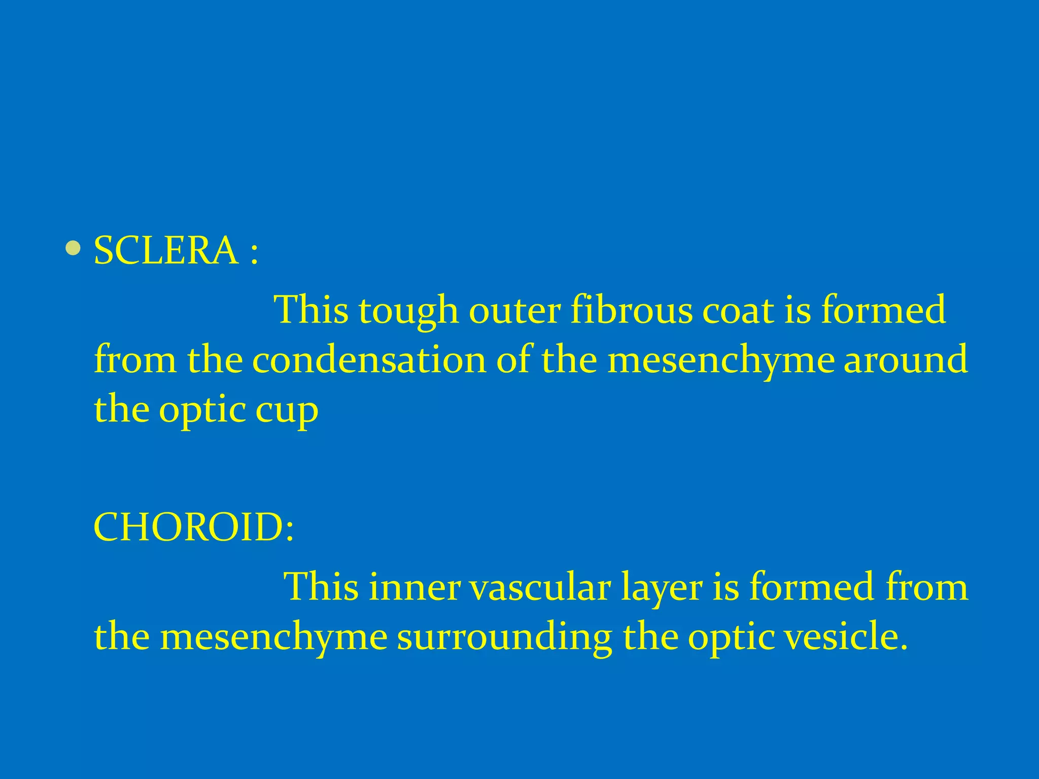 Embryology of eye | PPT