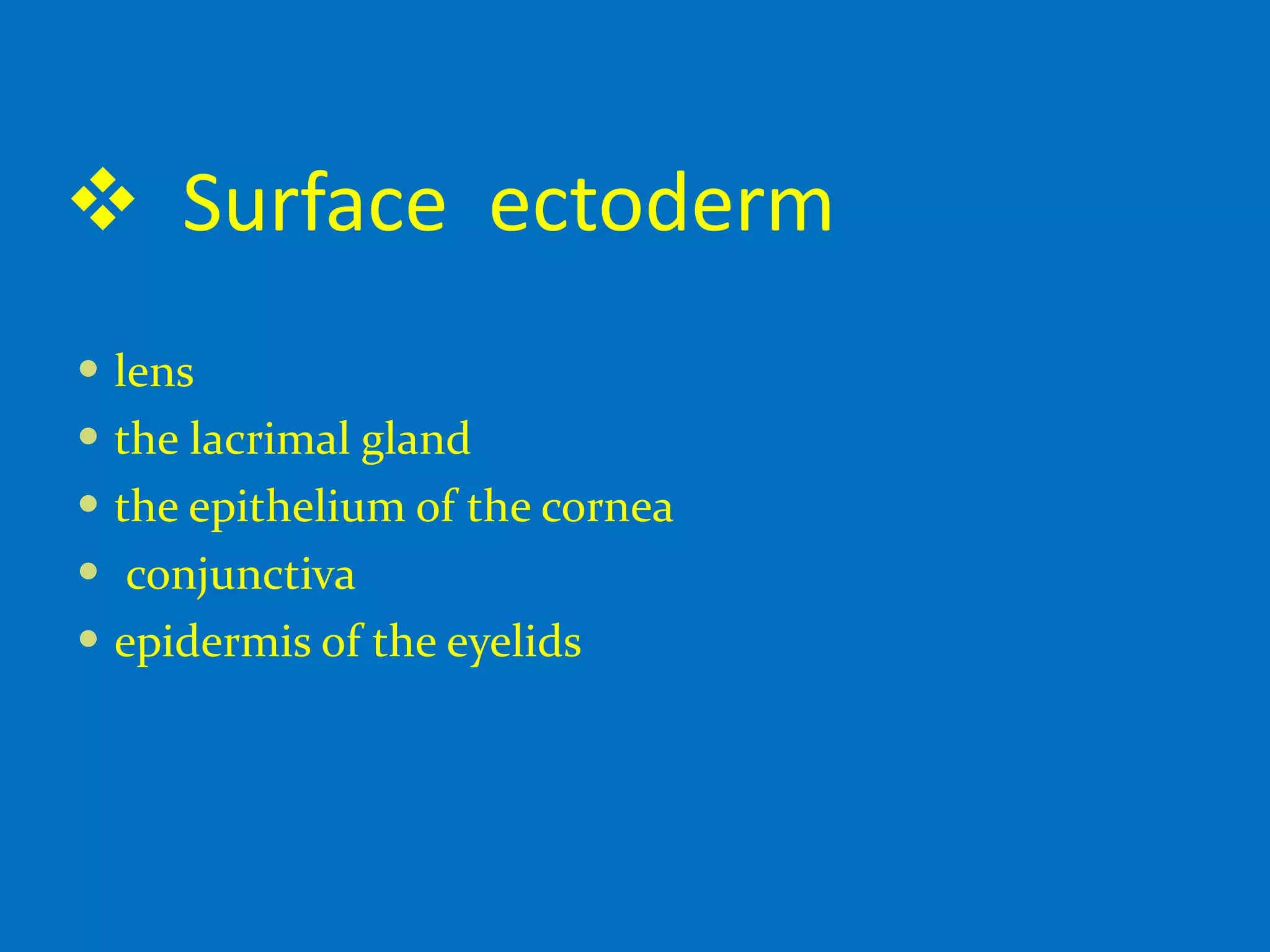 Embryology of eye | PPT