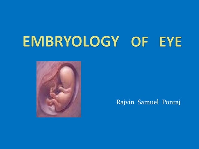 Embryology of eye | PPT