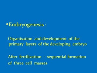 Embryology of eye | PPT