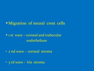 Embryology of eye | PPT