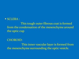 Embryology of eye | PPT