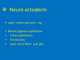 Embryology of eye | PPT