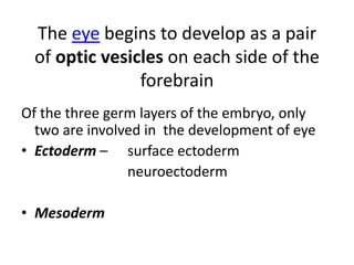 Embryology of eye | PPTX