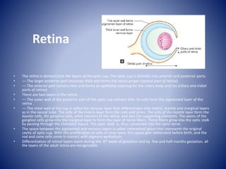 Embryology of eye | PPTX