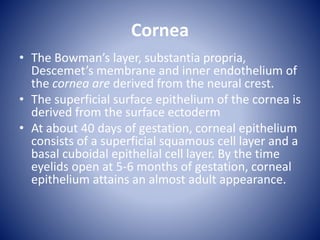 Embryology of eye | PPTX