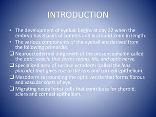 Embryology of eye | PPTX