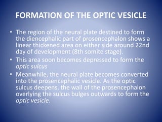 Embryology of eye | PPTX