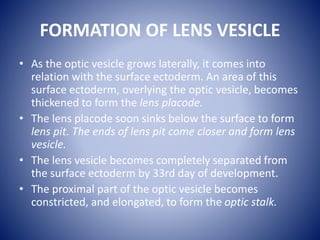 Embryology of eye | PPTX