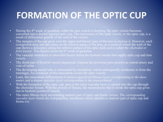 Embryology of eye | PPTX