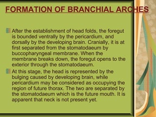 Embryology of face | PPT