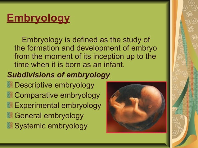 Embryology of face | PPT