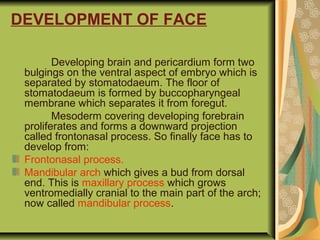 Embryology of face | PPT