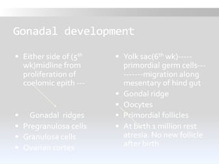 EMBRYOLOGY OF FEMALE REPRODUCTIVE SYSTEM.pptx