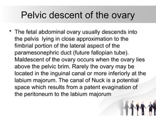 EMBRYOLOGY OF FEMALE REPRODUCTIVE SYSTEM.pptx