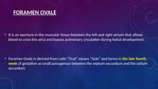 Foetal Circulation and Changes after Birth.pptx