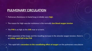 Foetal Circulation and Changes after Birth.pptx