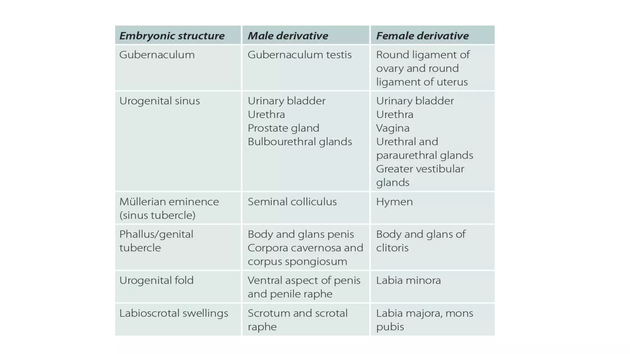Embryology of genitourinary system | PPTX