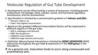 Embryology of GIT malformations by Dr. Yeneneh | PPTX
