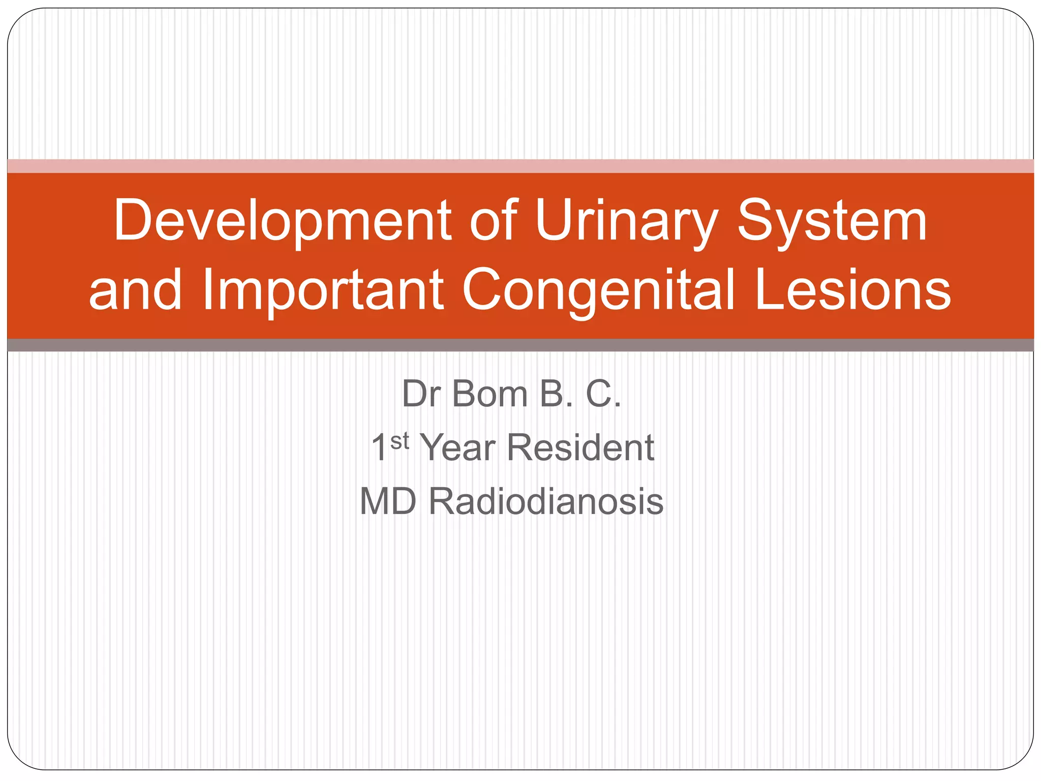 Embryology of genitourinary system | PPT