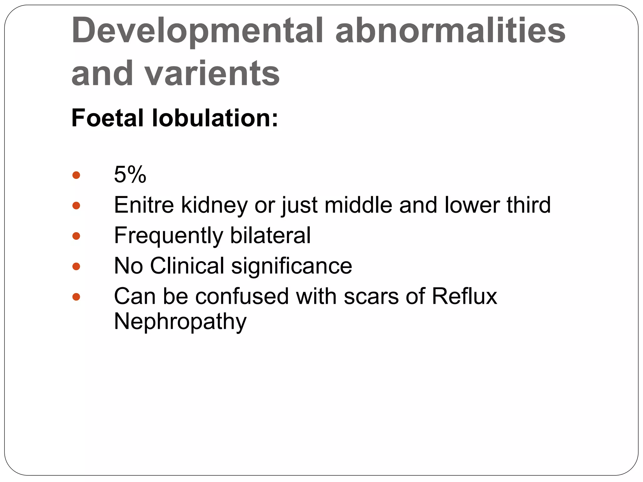 Embryology of genitourinary system | PPT