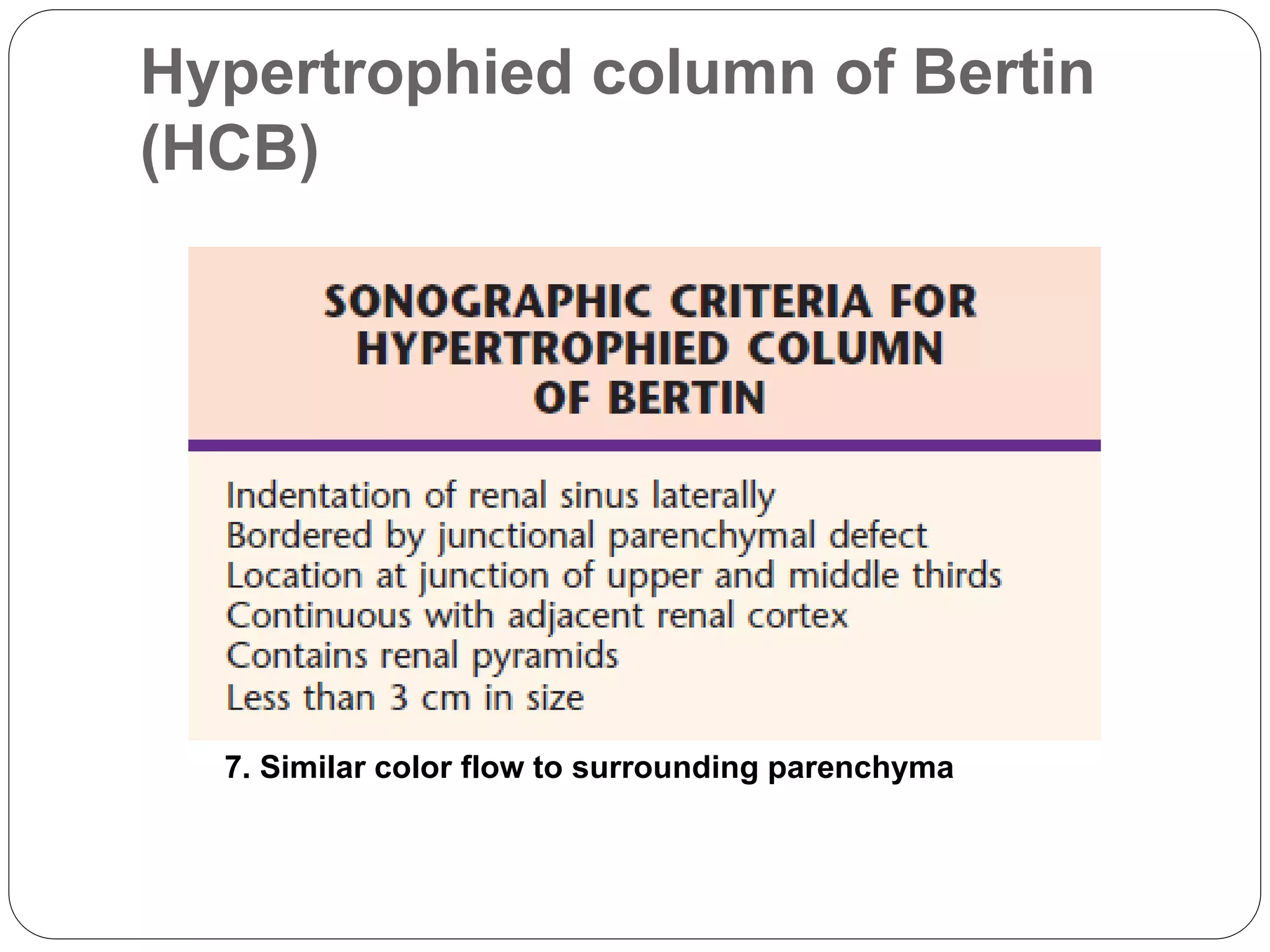 Embryology of genitourinary system | PPT