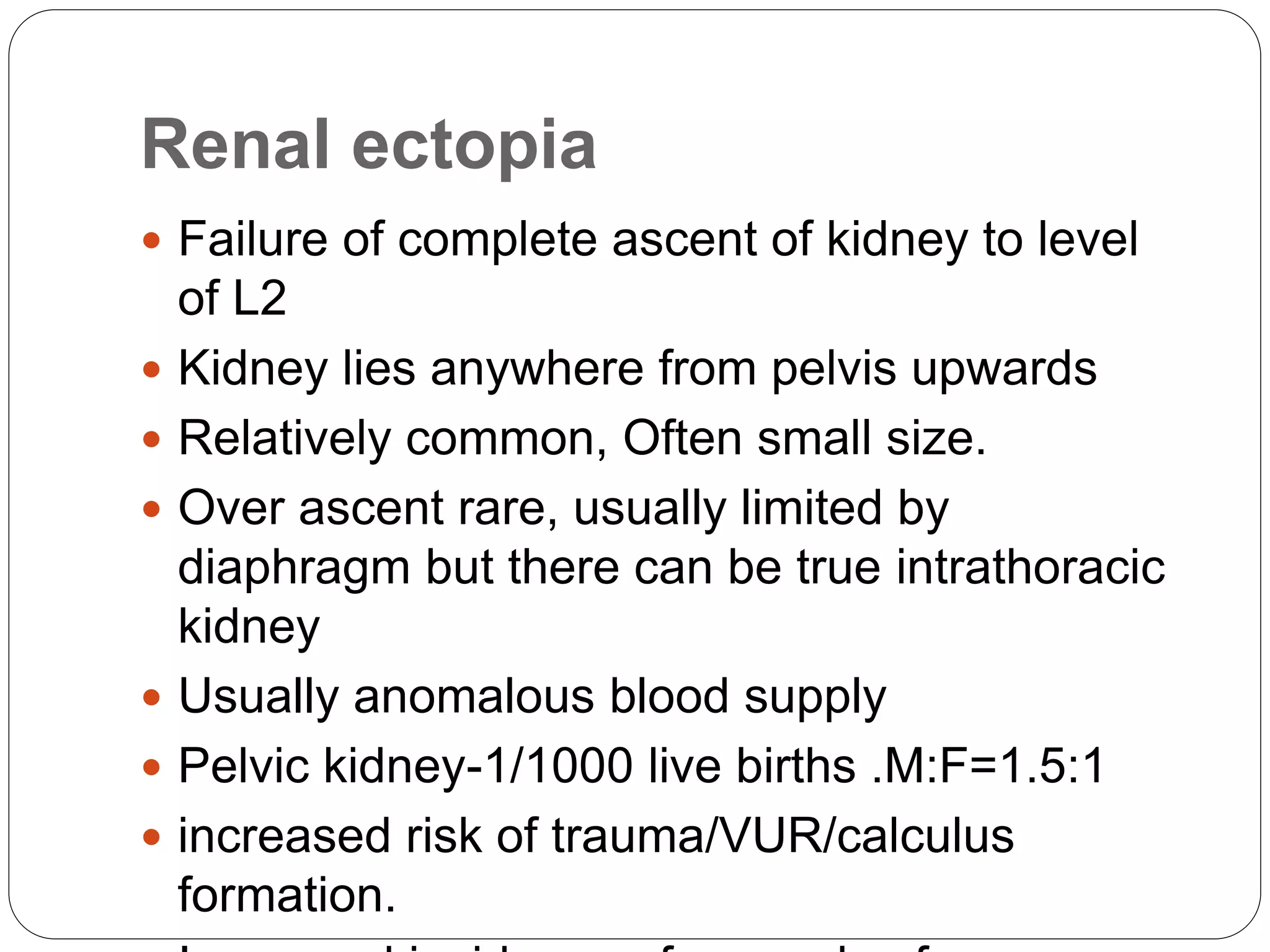 Embryology of genitourinary system | PPT