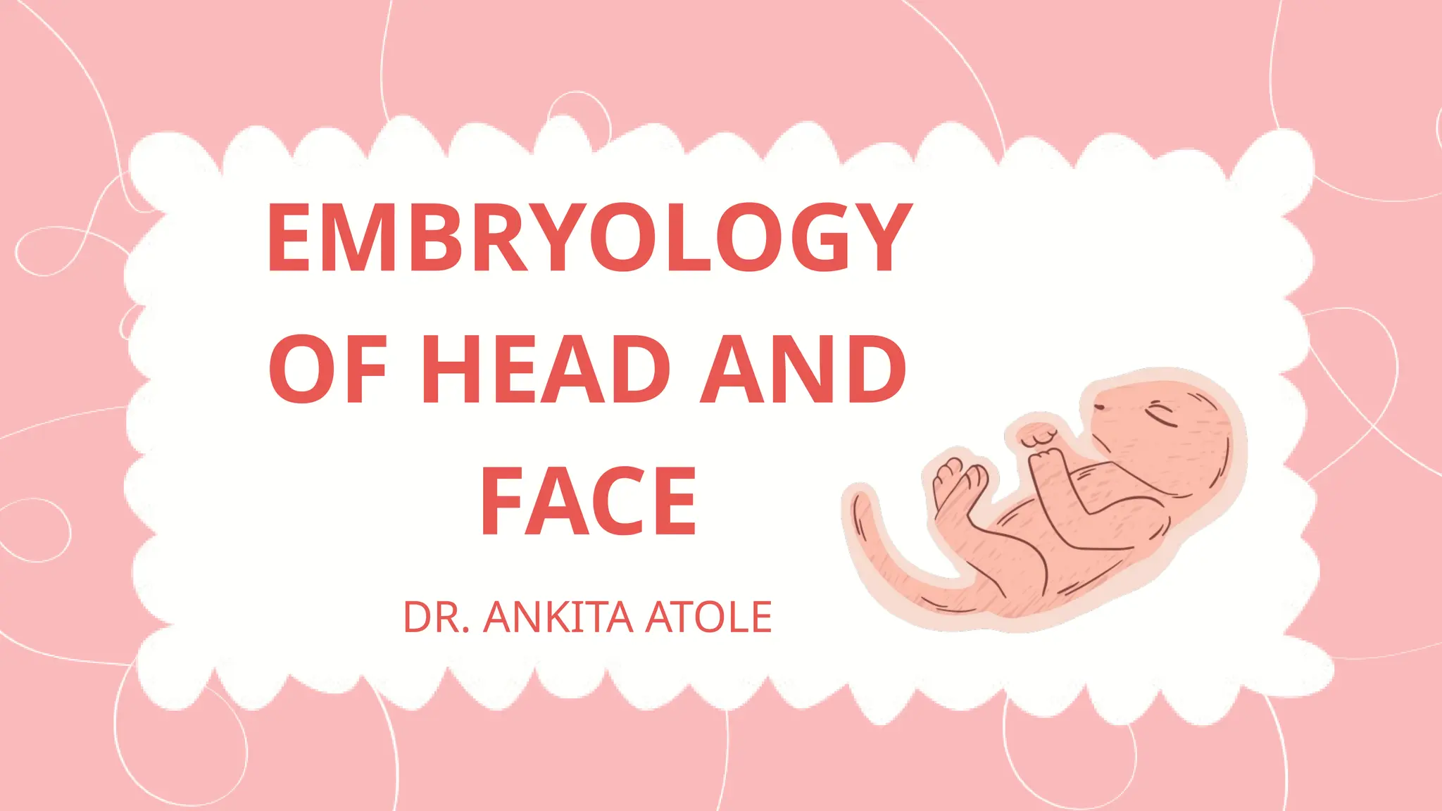 "Embryology of the Head and Neck: Key Concepts for Dental Students ...