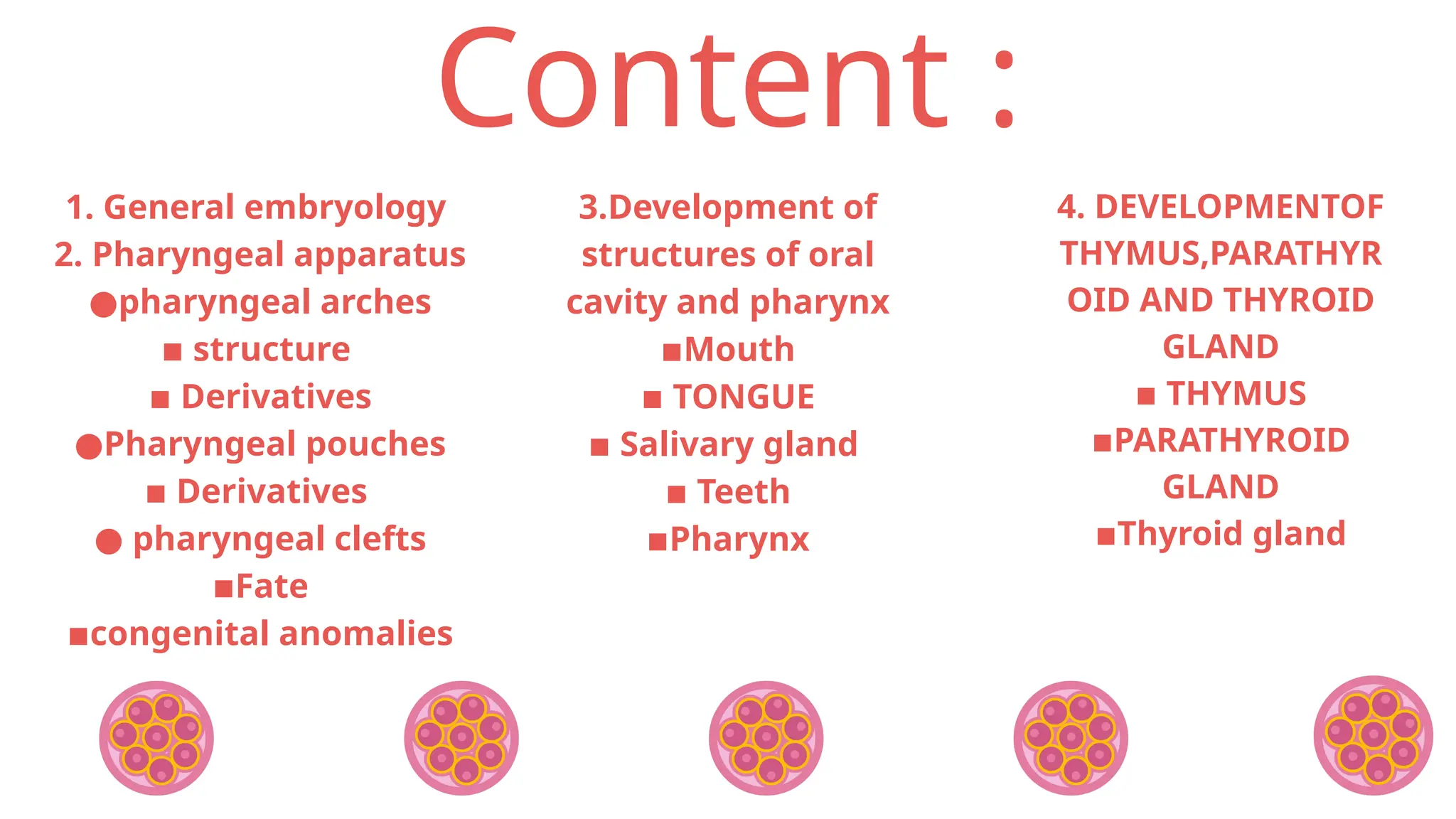 "Embryology of the Head and Neck: Key Concepts for Dental Students – Understanding the ...