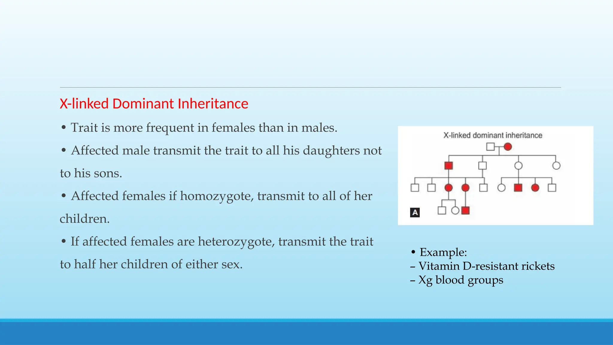 embryology of head and face 2 ,pediatric and preventive dentistry | PPTX