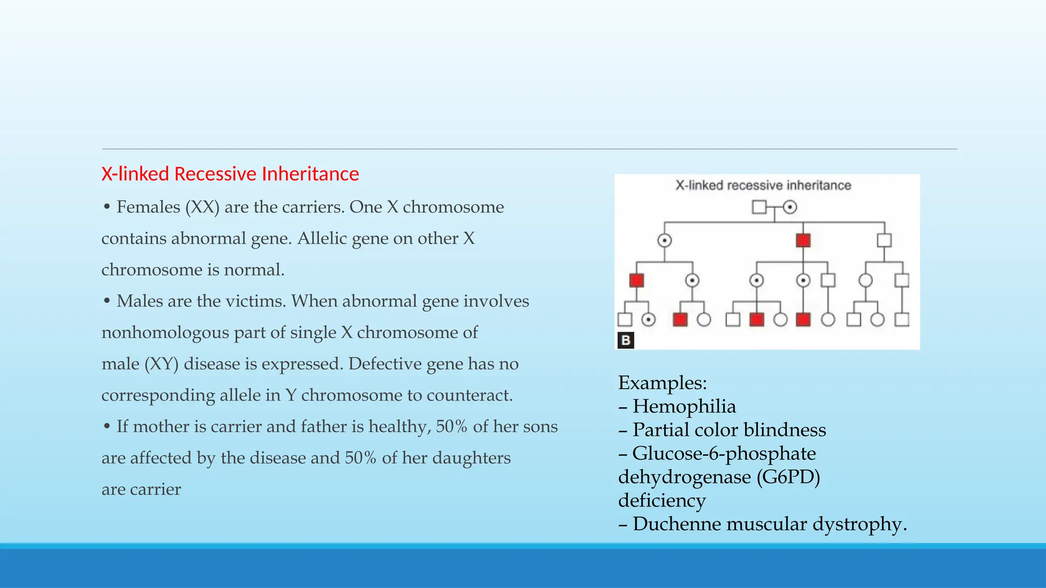 embryology of head and face 2 ,pediatric and preventive dentistry | PPTX