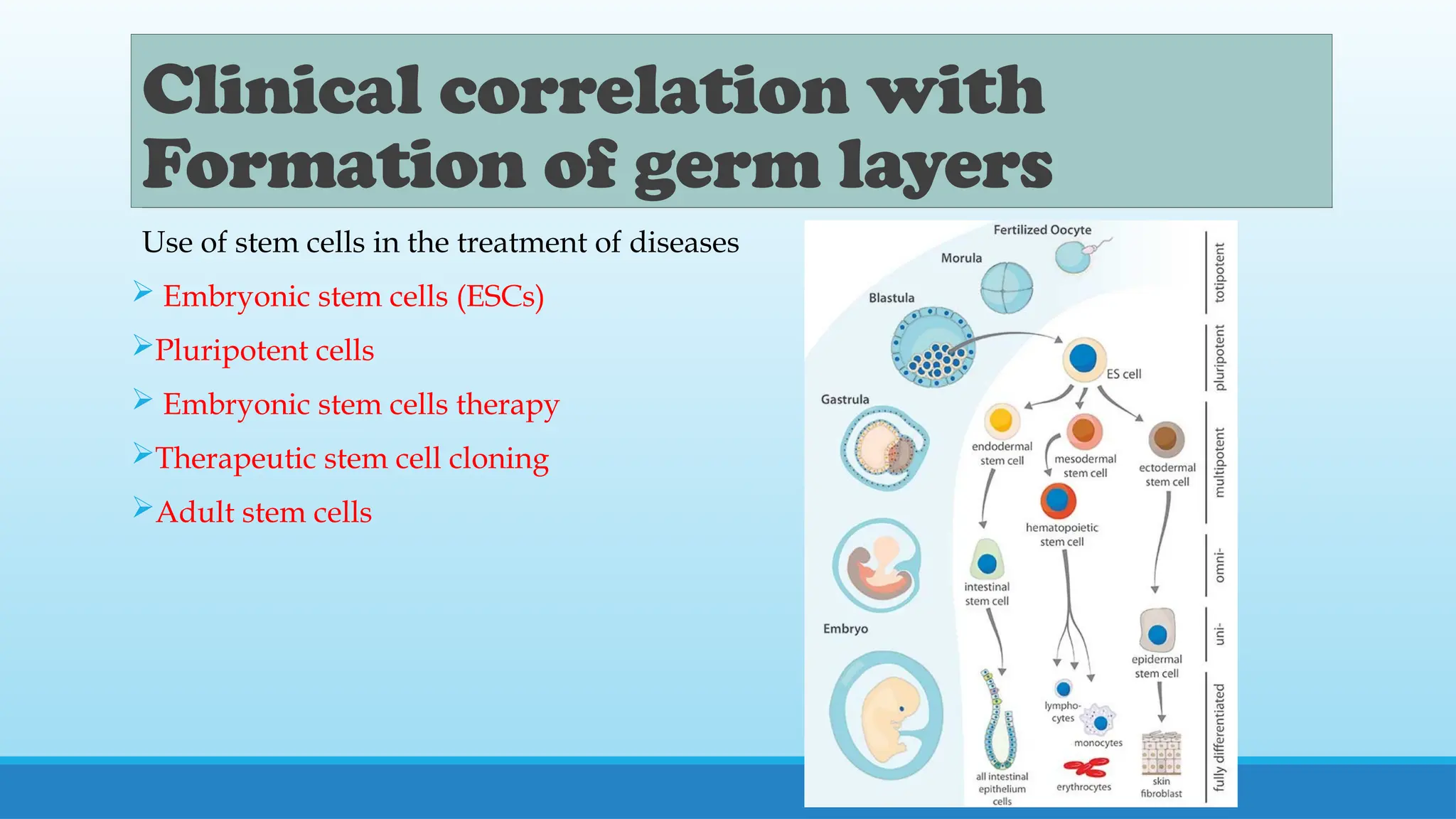 embryology of head and face 2 ,pediatric and preventive dentistry | PPTX