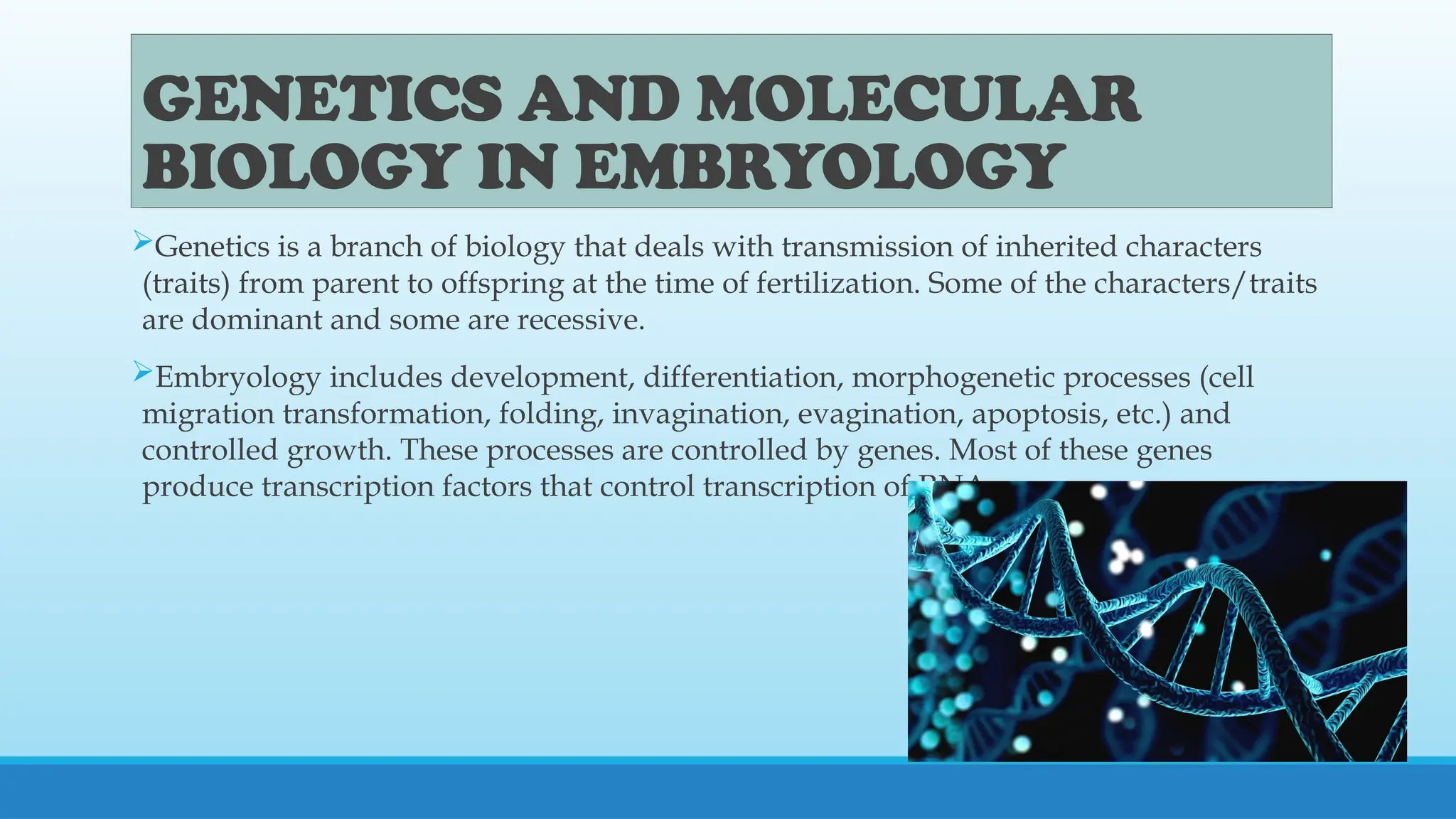embryology of head and face 2 ,pediatric and preventive dentistry | PPTX