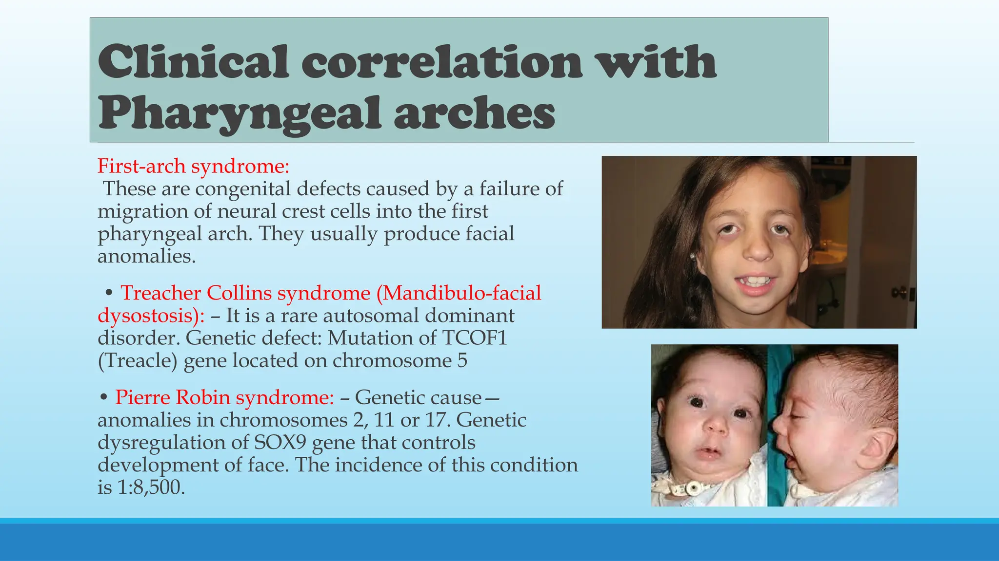 embryology of head and face 2 ,pediatric and preventive dentistry | PPTX