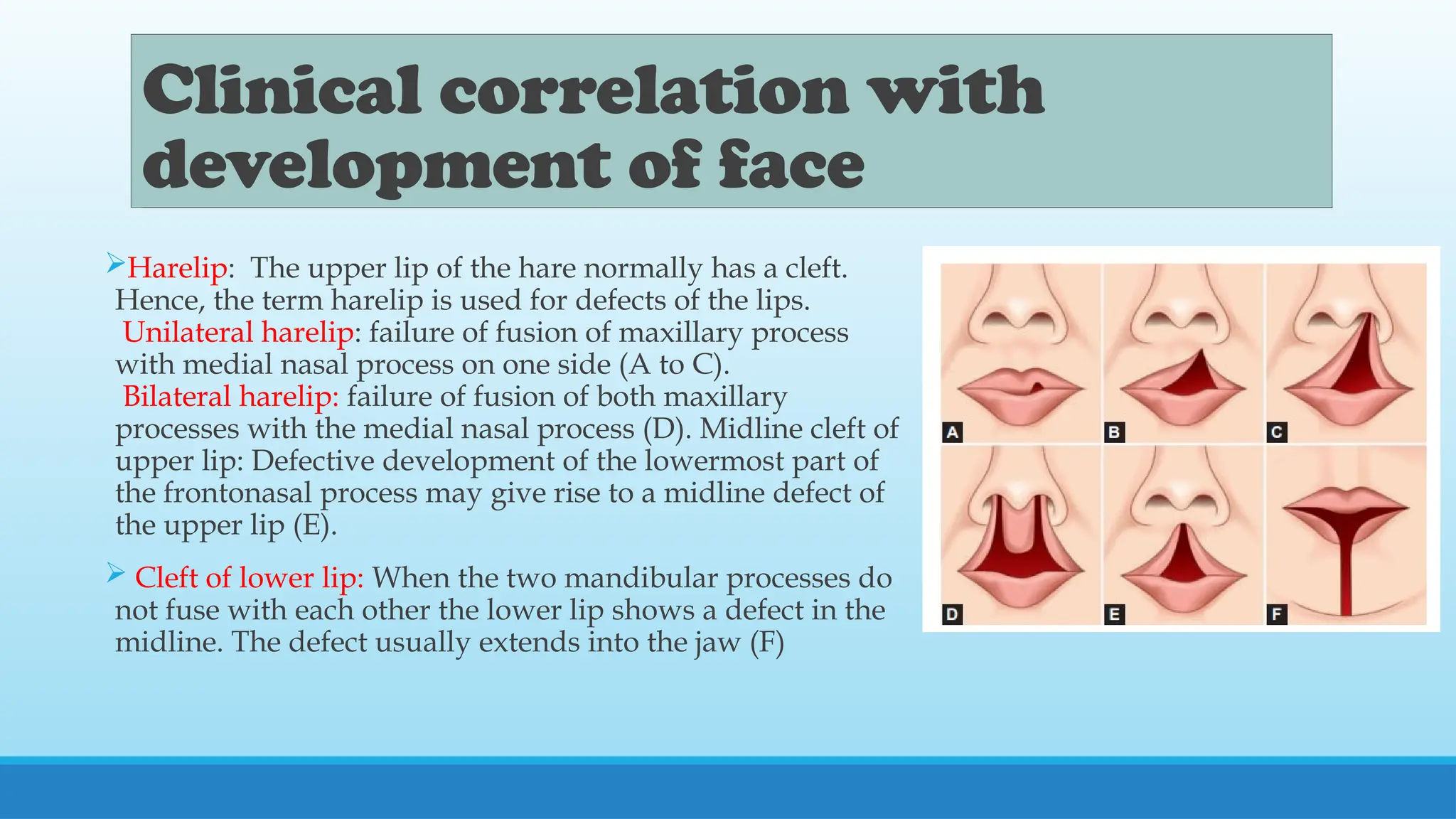 embryology of head and face 2 ,pediatric and preventive dentistry | PPTX