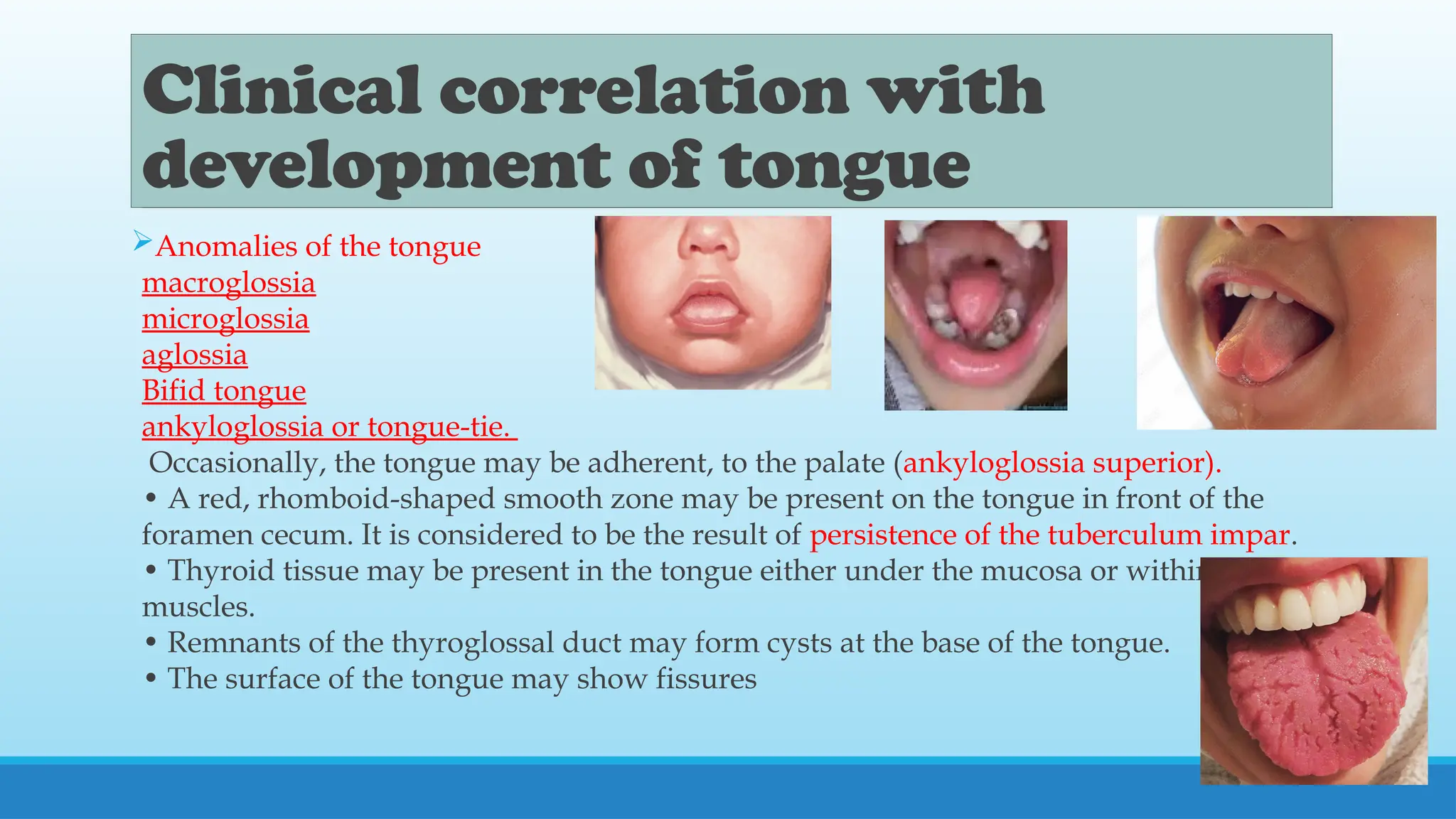 embryology of head and face 2 ,pediatric and preventive dentistry | PPTX