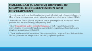 embryology of head and face 2 ,pediatric and preventive dentistry | PPT