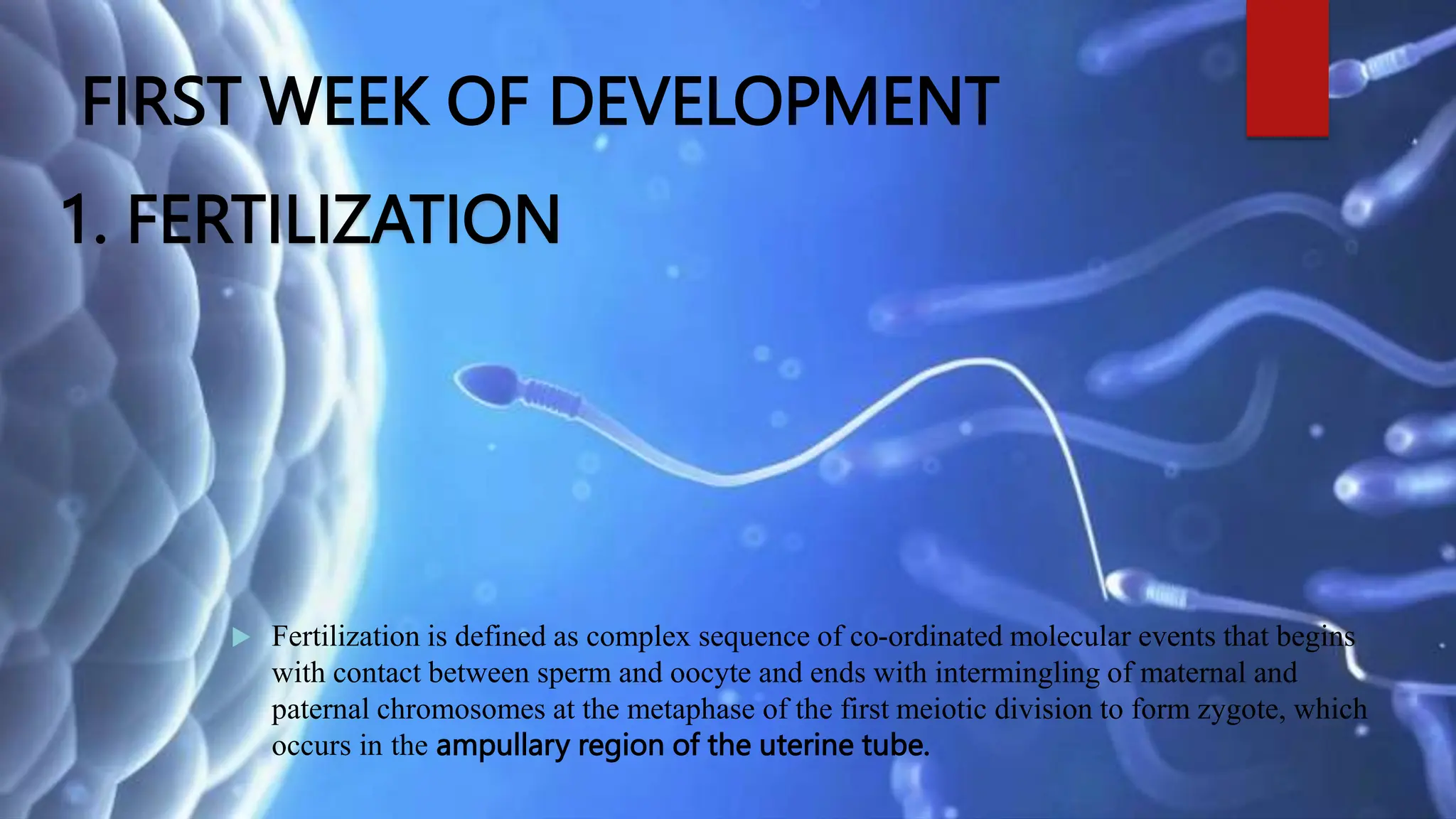 Embryology of head and neck - arun omfspptx | PPTX