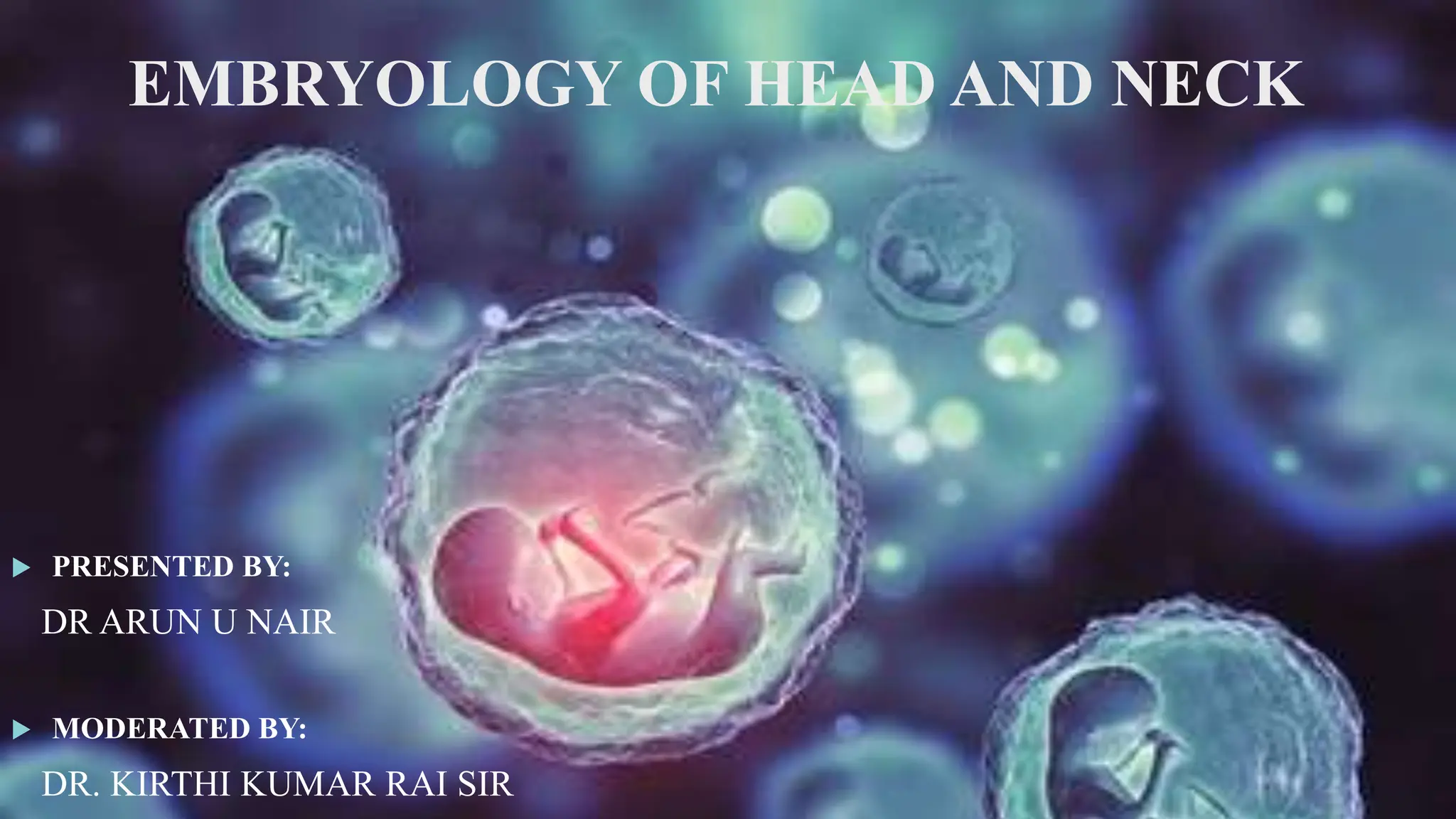 Embryology Of Heart