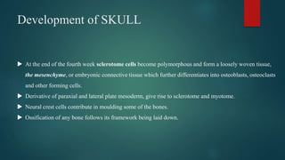 Embryology of head and neck - arun omfspptx | PPTX