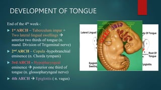 Embryology of head and neck - arun omfspptx | PPTX