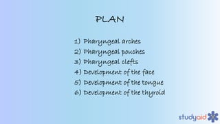 Embryology of Head and Neck A Dive Into Medicine | PDF