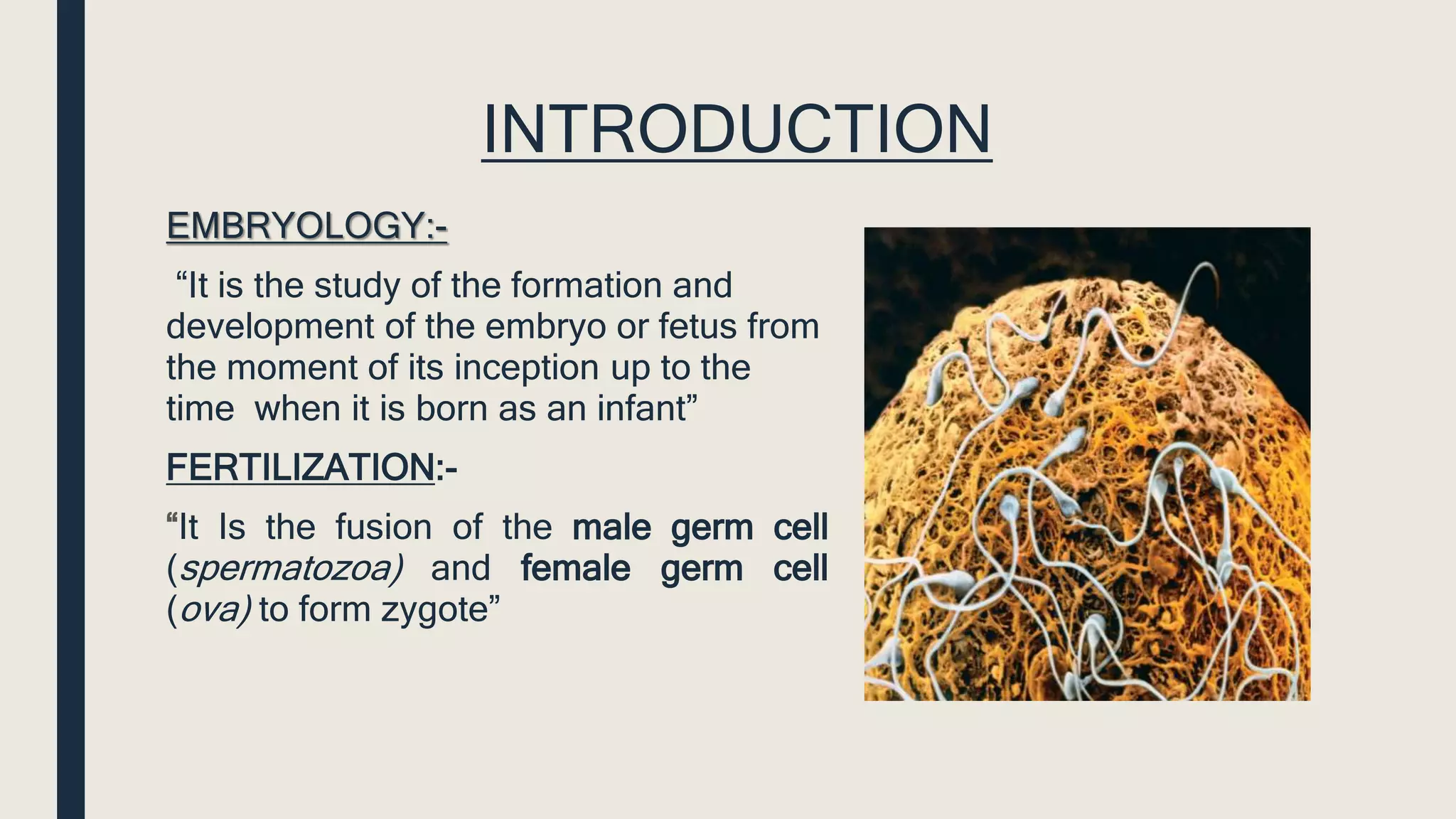 Embryology of head and neck | PPTX