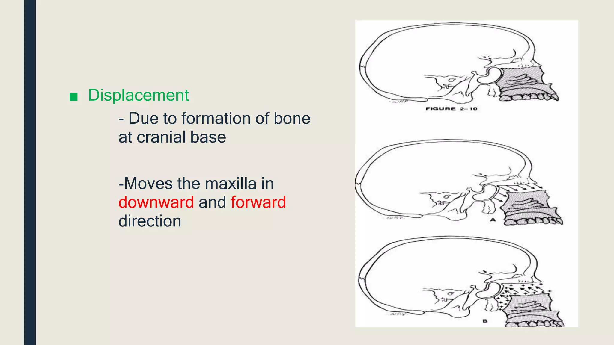 Embryology of head and neck | PPTX