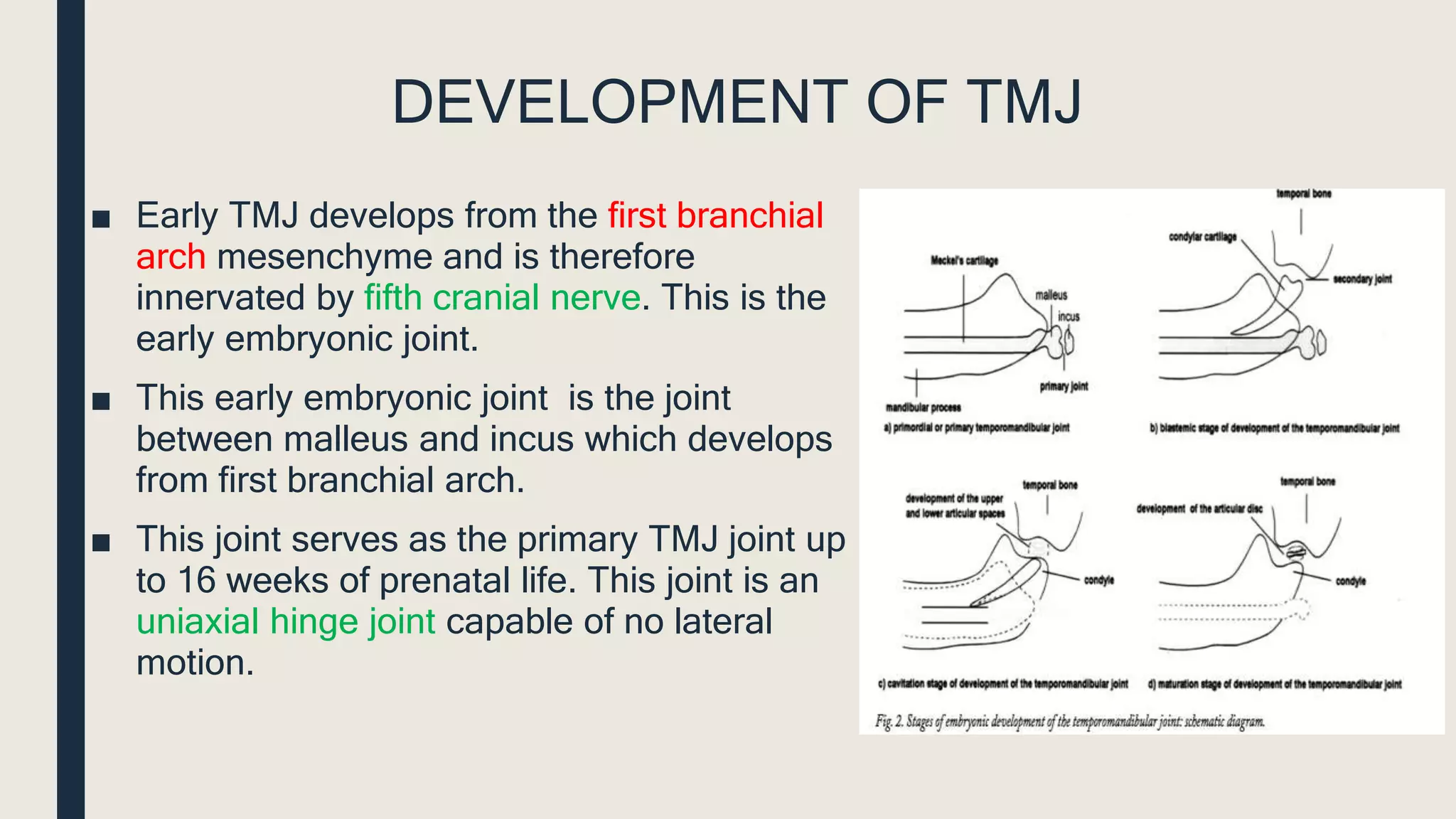 Embryology of head and neck | PPTX