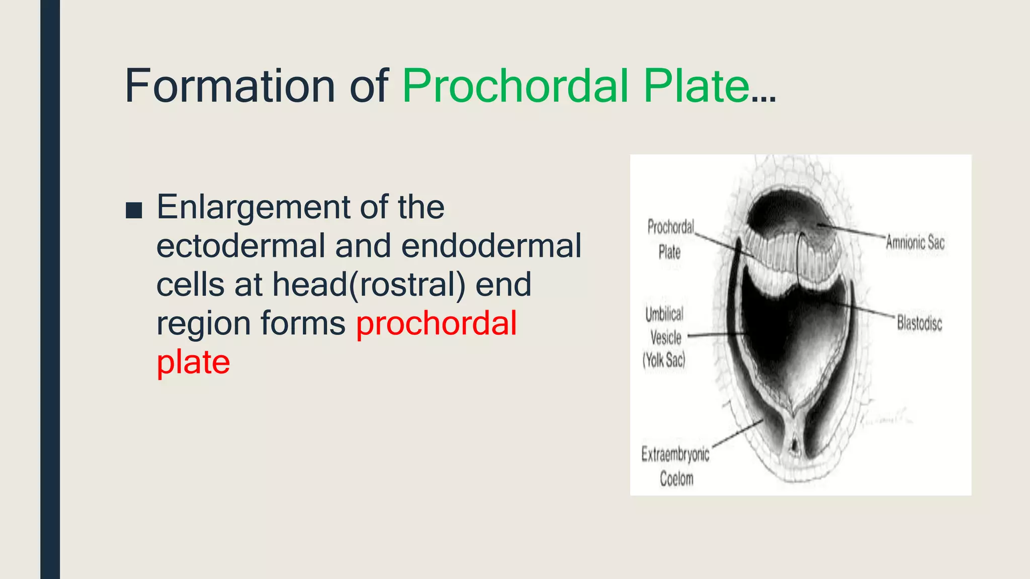 Embryology of head and neck | PPTX