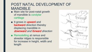 Embryology of head and neck | PPTX