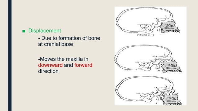 Embryology of head and neck | PPTX