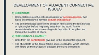 Embryology of head and neck | PPTX