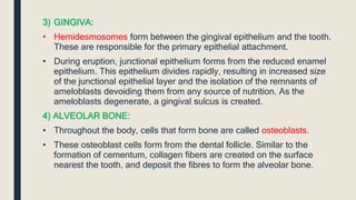 Embryology of head and neck | PPTX